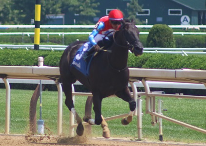 Chateau | America's Pastime Stables